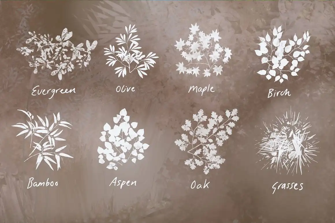 Nature Studio - Procreate Brushes Free Download