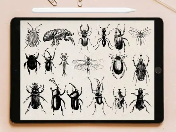 100 Insect Procreate Brush Stamp - Brushes Pack