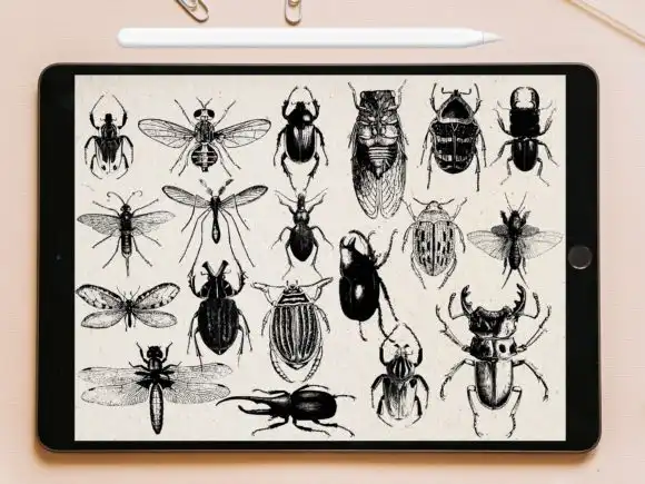 100 Insect Procreate Brush Stamp - Brushes Pack
