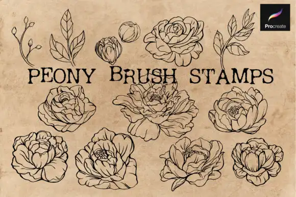 Procreate Brush Stamps-Peony Hand Draw