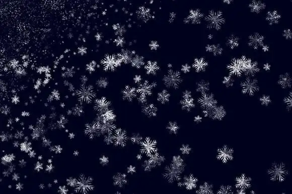 Procreate Winter Realistic Forest Brush Free Download