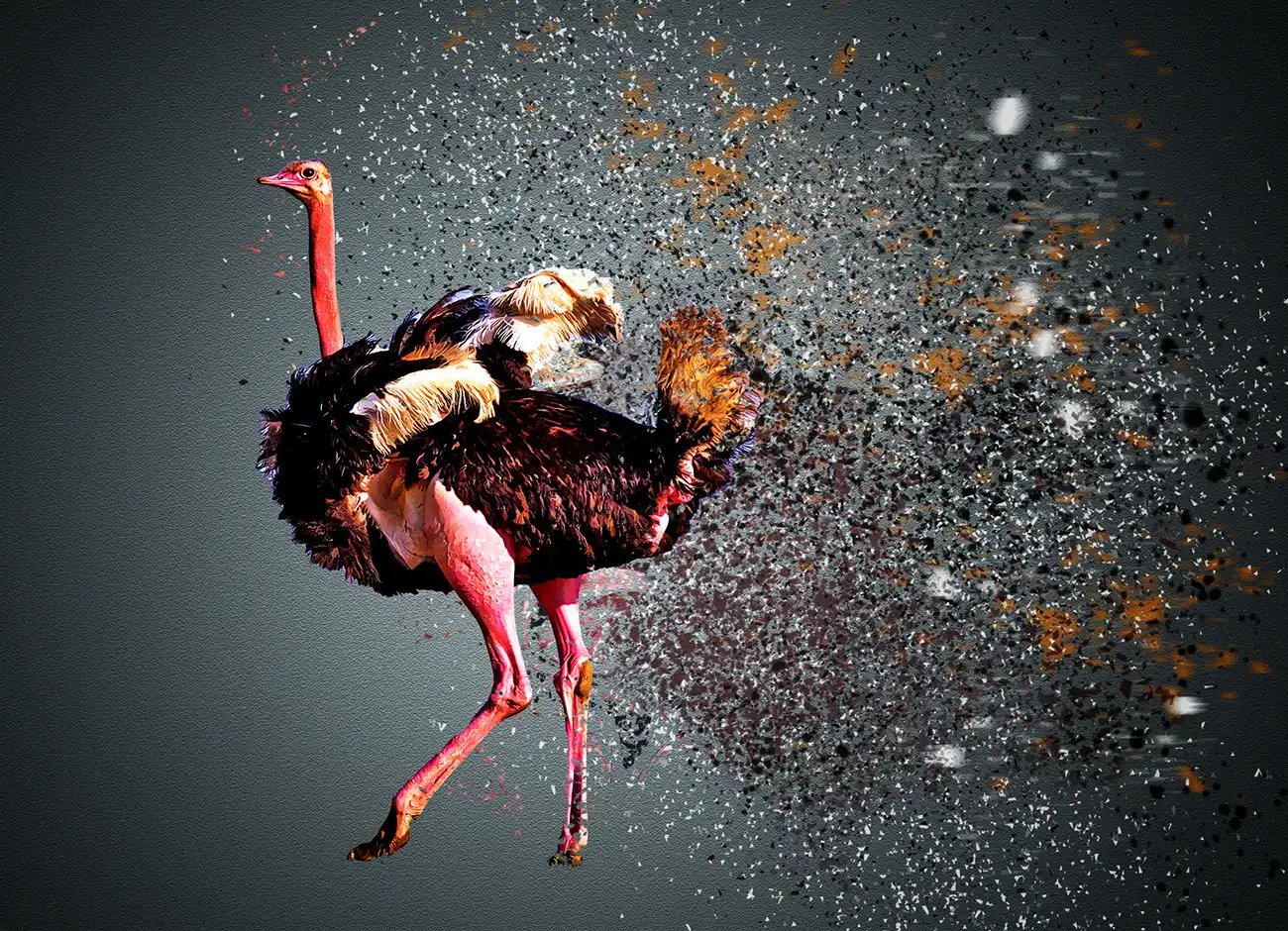 Dispersion Portrait Photoshop Action - Brushes Pack