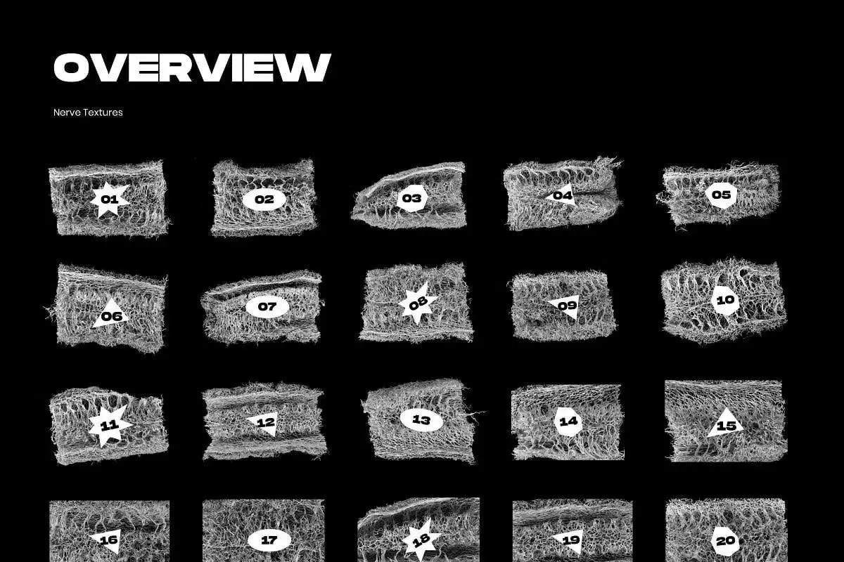 Nerve Textures Free Download