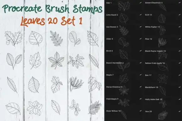 Procreate Brushes Stamp Leaves Set 1 - Free Download