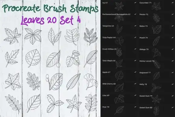 Procreate Brushes Stamp Leaves Set 4 - Free Download