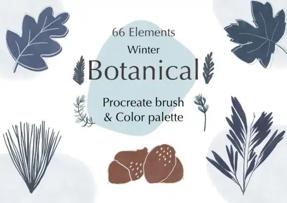 Procreate Stamp Brushes Winter Botanical | BrushesPack