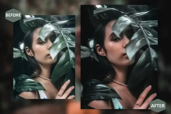 12 Vision of Beauty Lightroom Presets - Brushes Pack