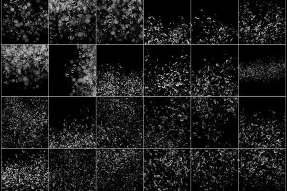 50 Water Drops Overlays Free Download