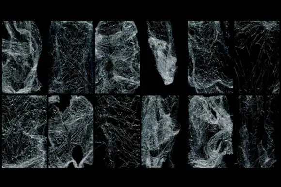 66 Plastic Overlays Free Download