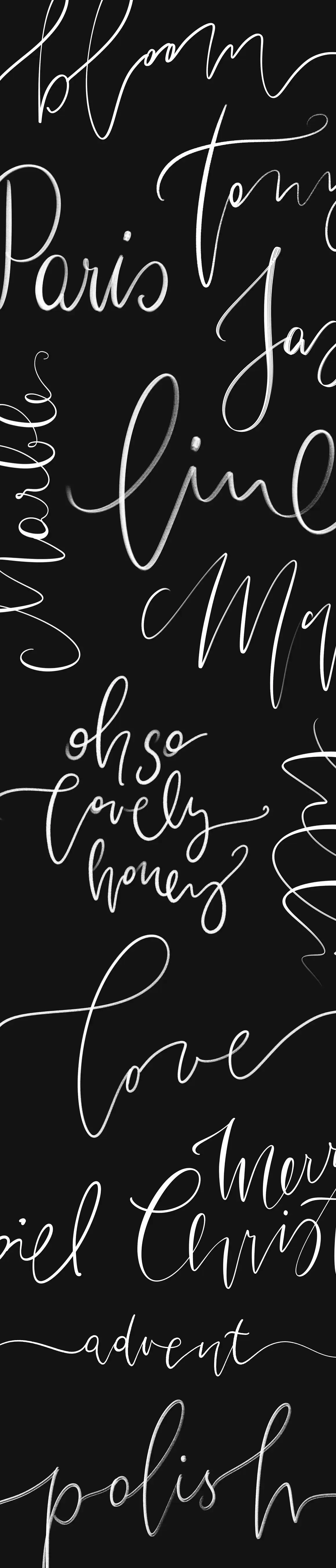Procreate Fine Calligraphy Brushes Free Download