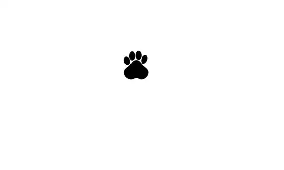 Procreate Animal Paw Print Brush - Brushes Pack