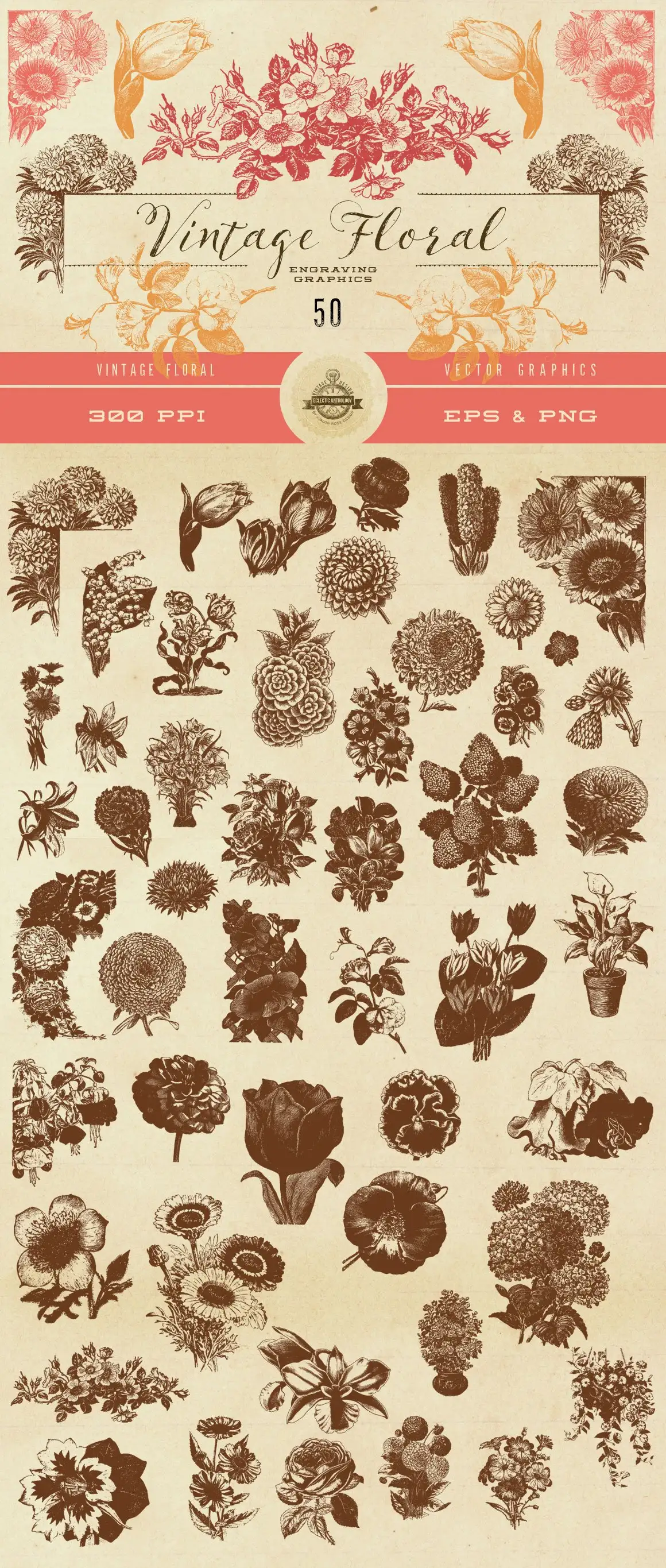 Vintage Flower Vector Graphics - Free Download