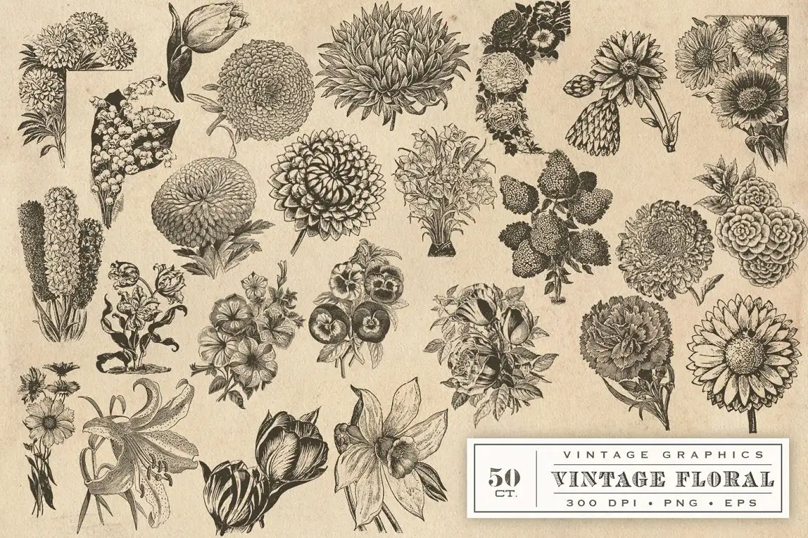 Vintage Flower Vector Graphics - Free Download