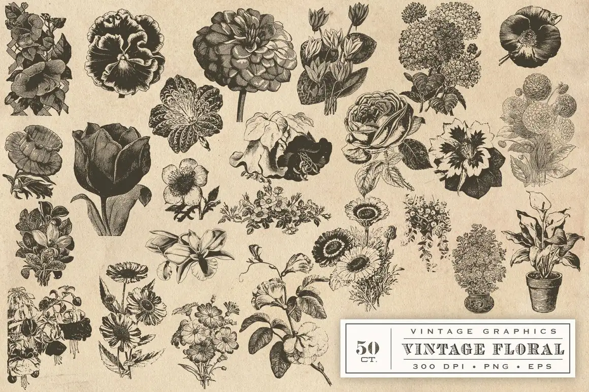 Vintage Flower Vector Graphics - Free Download