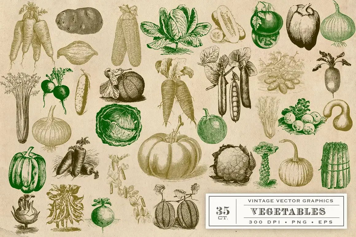 Vintage Vegetable Garden Graphics Free Download