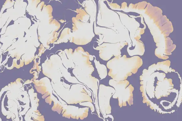 Wet Paint Textures 4 Free Download