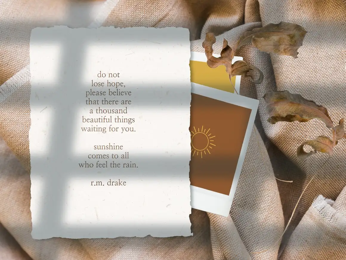 Wild Shadow Overlays for Procreate Free Download