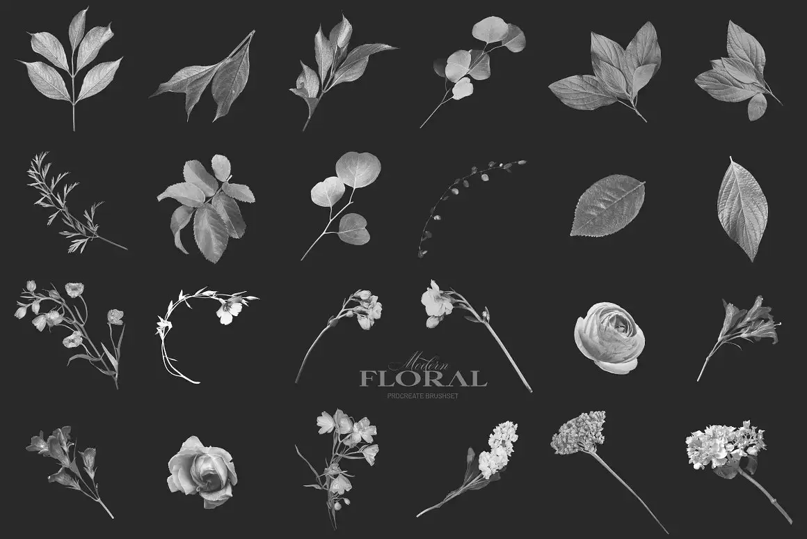 Modern Floral Procreate Brushes - Brushes Pack