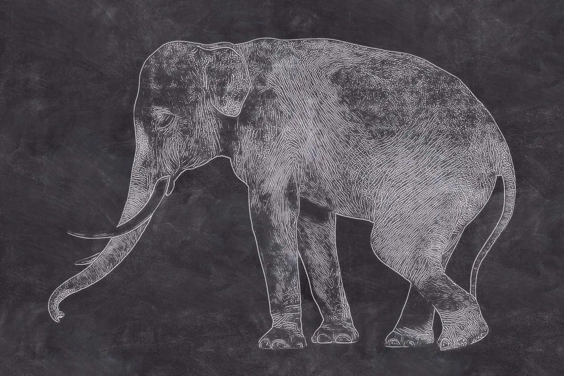 Chalk Effect Photoshop Action - Free Download