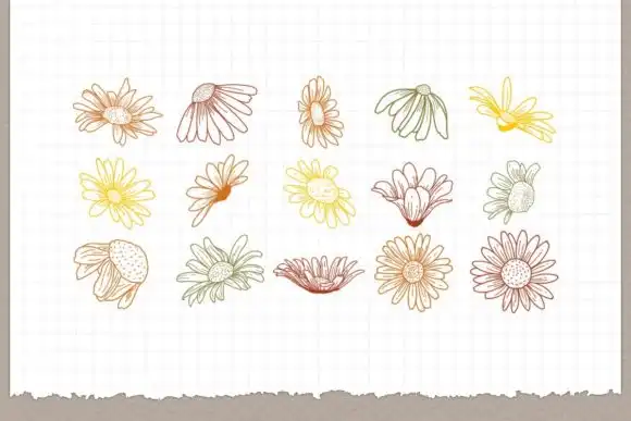 Daisy Procreate Stamp Brush Free Download