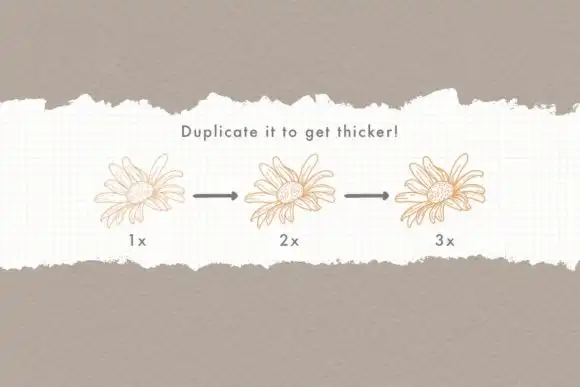 Daisy Procreate Stamp Brush Free Download