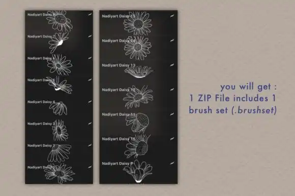 Daisy Procreate Stamp Brush Free Download