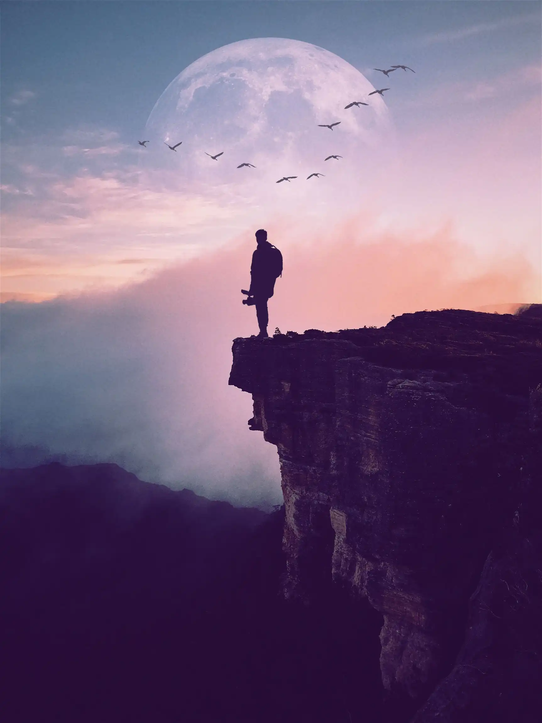 Nucly Birds and Flocks – Photoshop Brushes Free Download