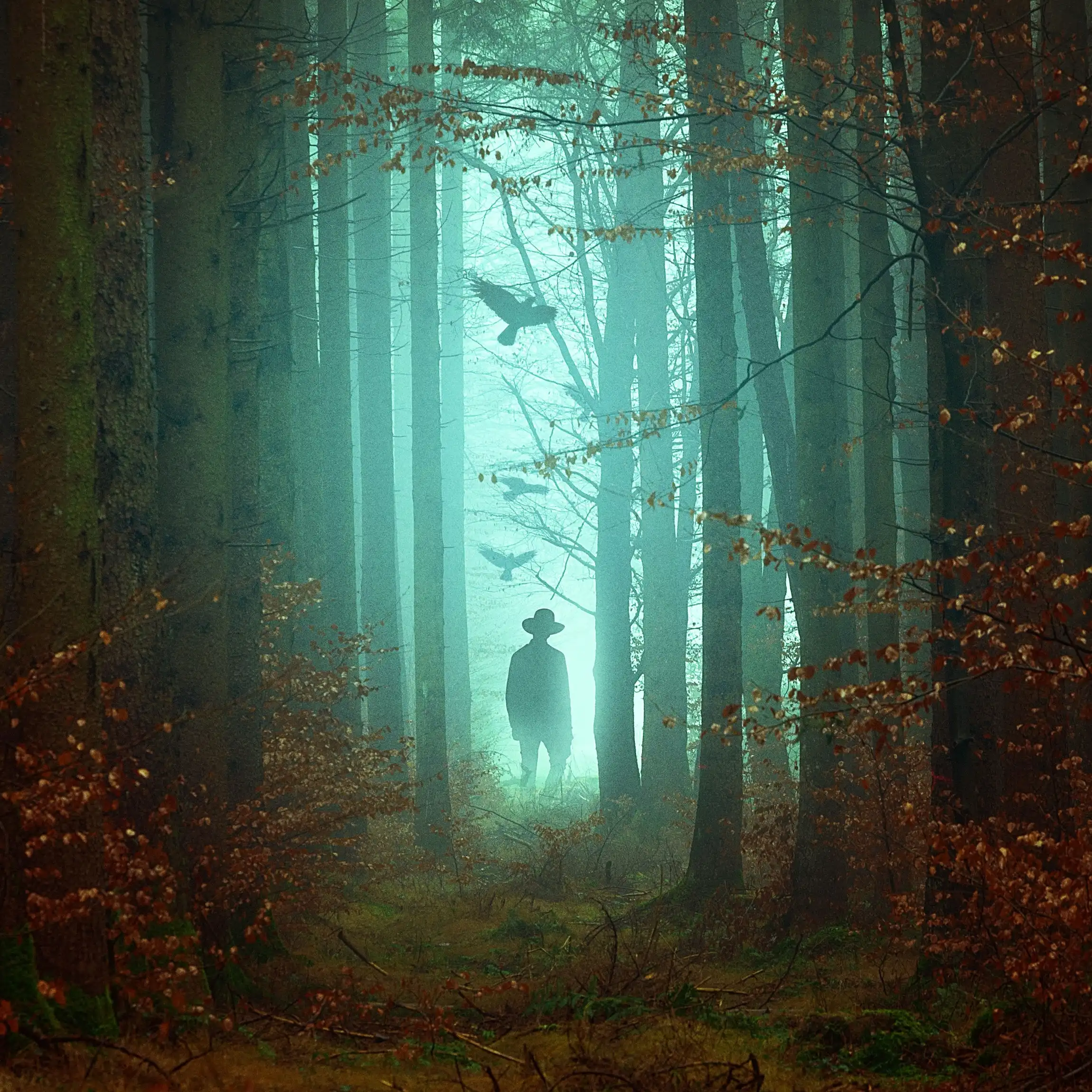 Nucly Birds and Flocks – Photoshop Brushes Free Download