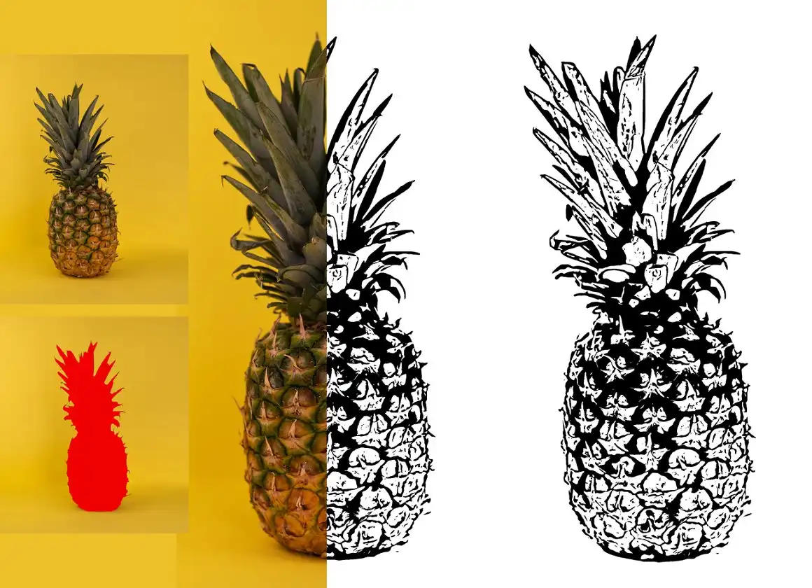 Photo Tracing - Free Download