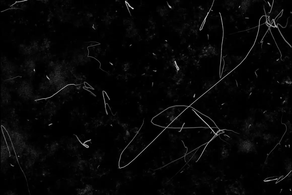 Scratches.zip – 42 scratch textures Free Download