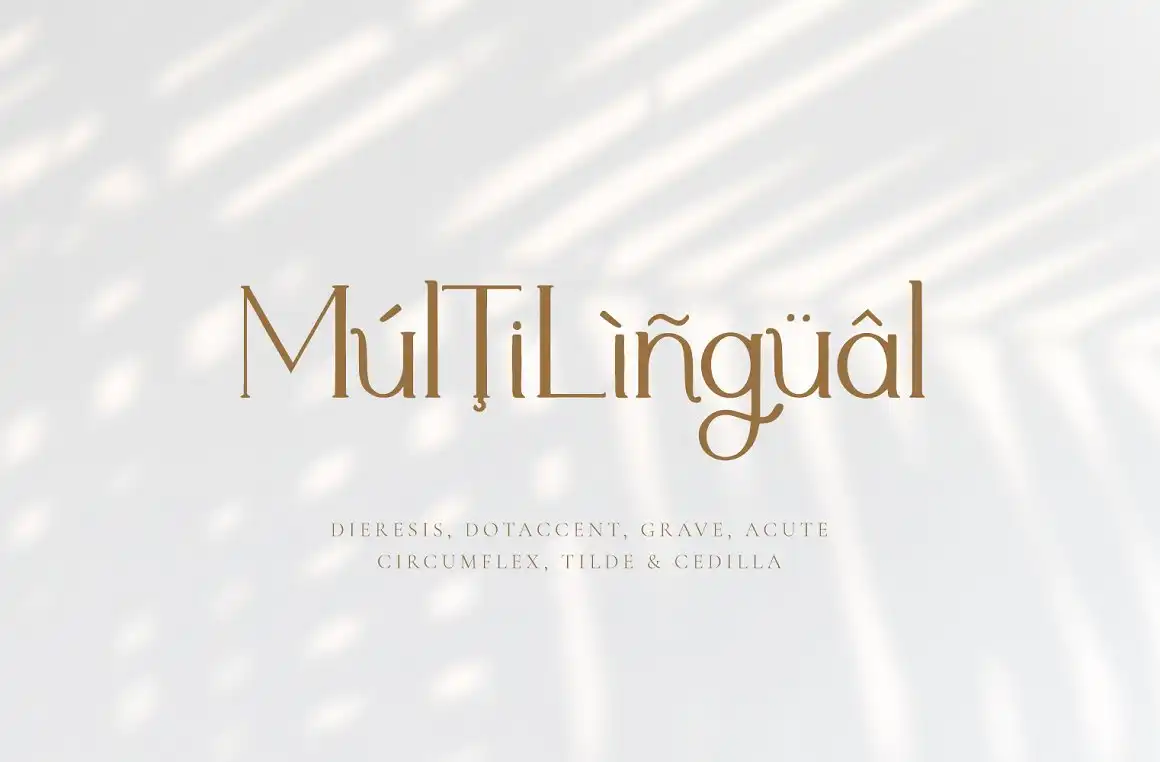 Adele Moon Serif Font + Extras - Free Download