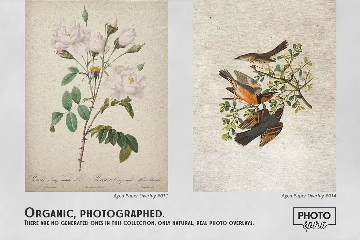 Aged Paper Effect Overlays - Free Download