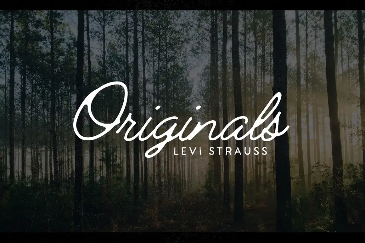 Jimmy Font Duo (5 Fonts) + Extras! Free Download