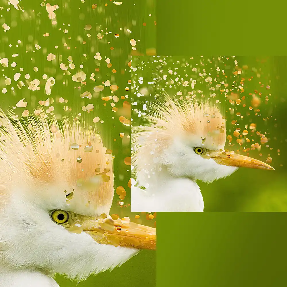 Molecular Dispersion - Moleculum - Photoshop Action - Brushes Pack