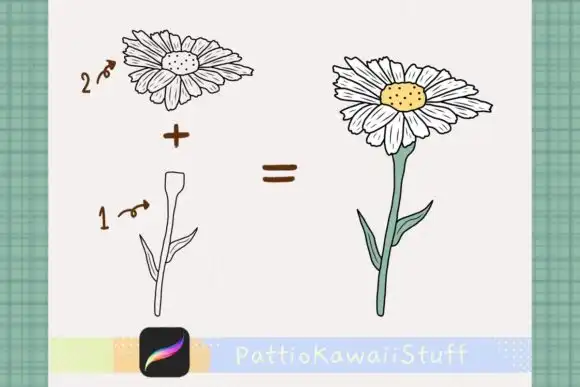 Procreate Brush Stamp Daisy wild flower - Brushes Pack