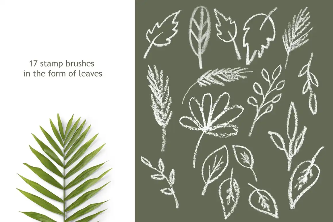 Scribble-PS Brushes Free Download