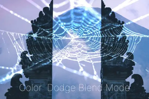 Affinity Assets | Spider Web Overlays Free Download