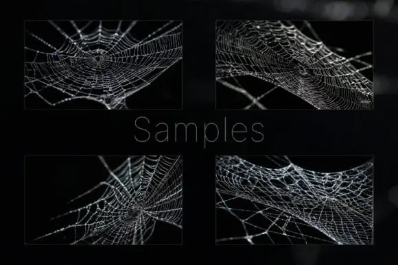 Affinity Assets | Spider Web Overlays Free Download