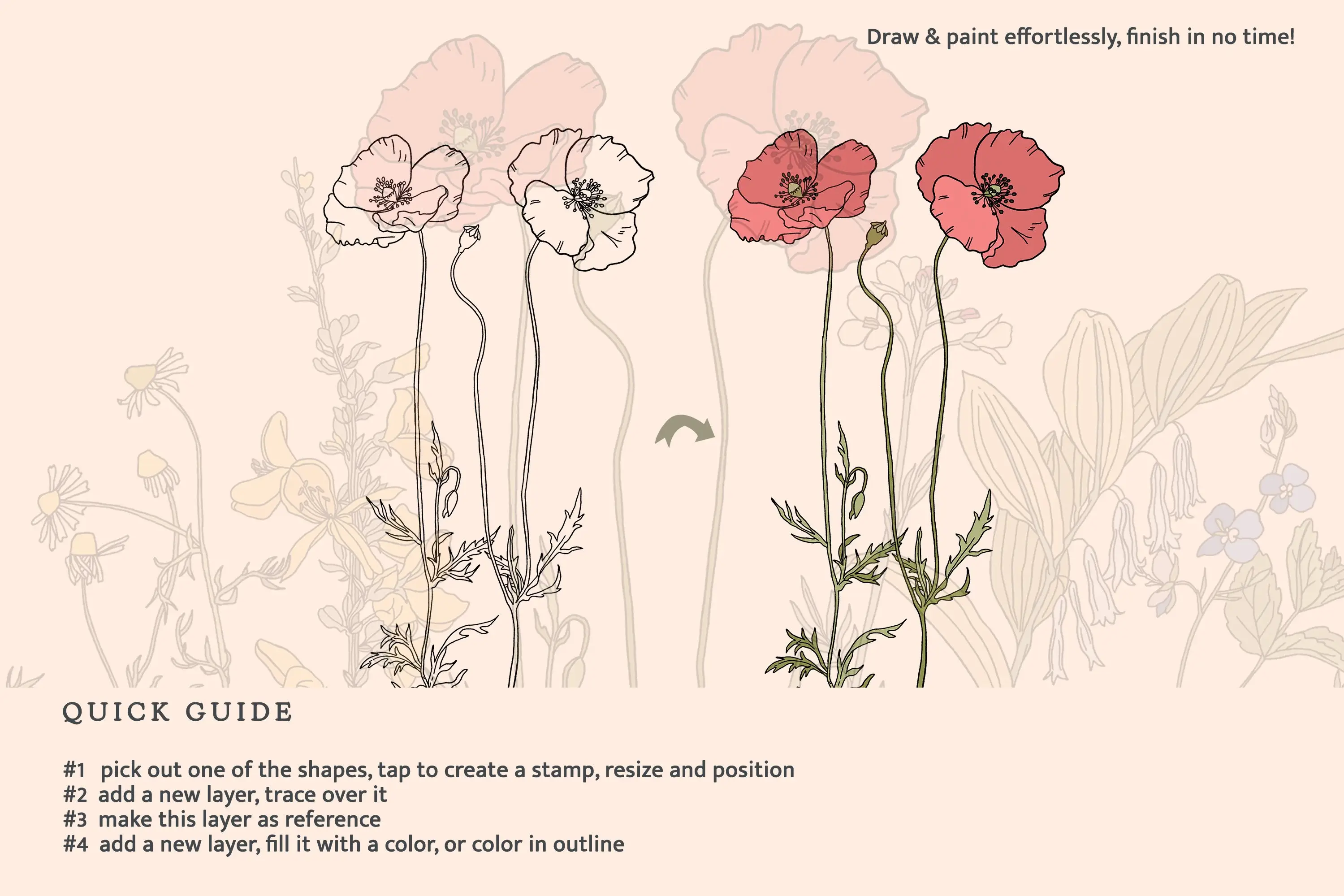 Wildflower Procreate Stamps And Clipart - Free Download