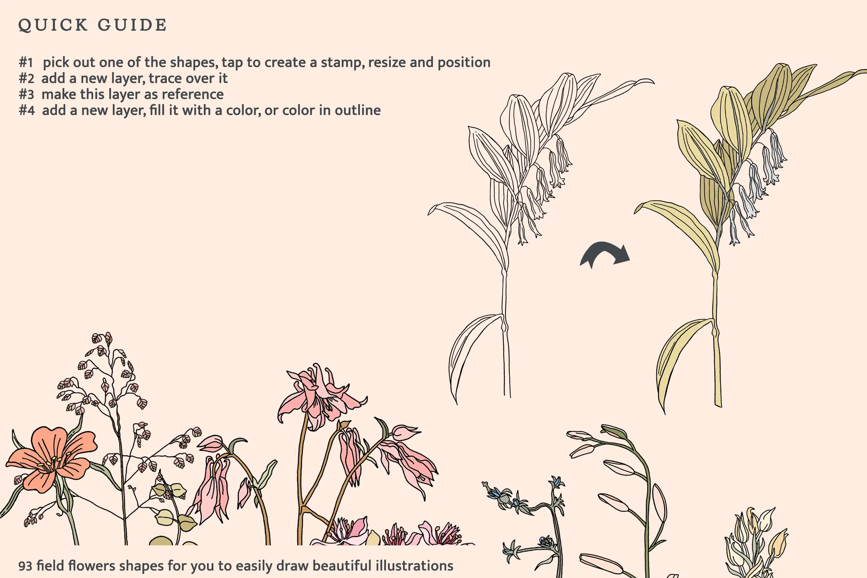 Wildflower Procreate Stamps And Clipart Free Download