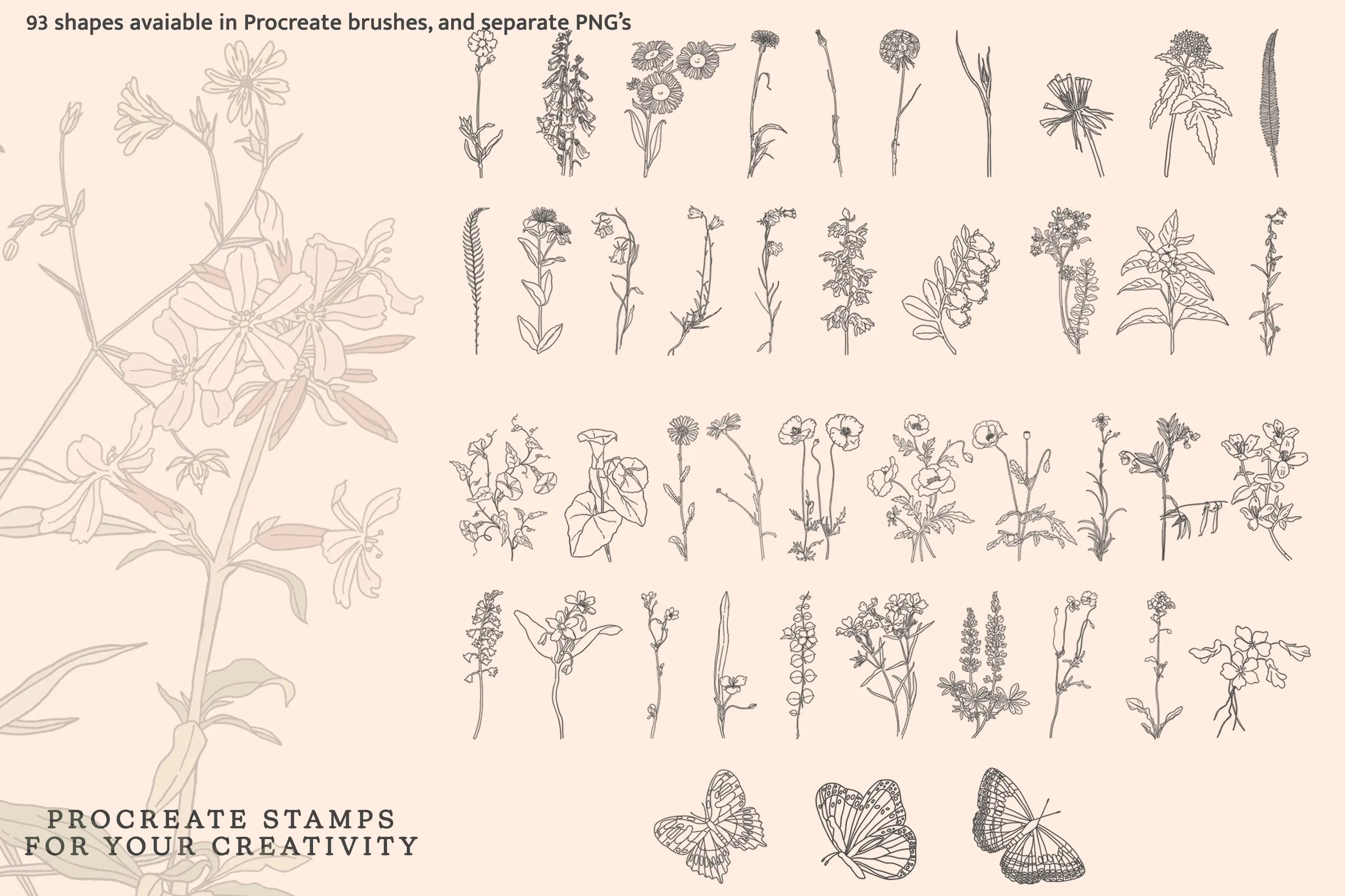 Wildflower Procreate Stamps And Clipart - Free Download