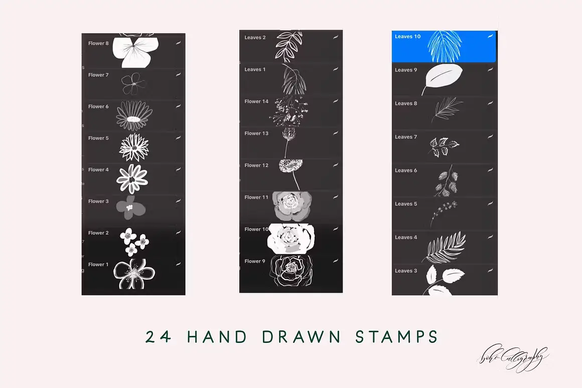 Flowers & Leaves Procreate Stamps Free Download