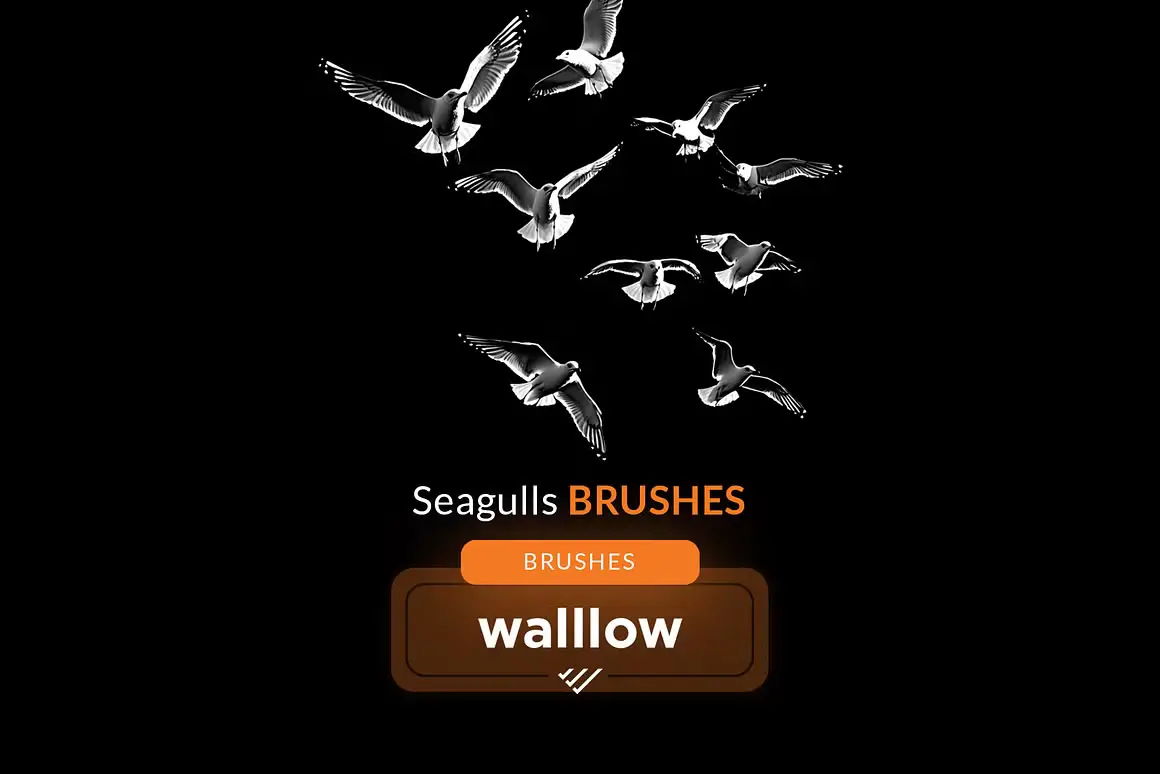 Seagull birds photoshop brushes Free Download