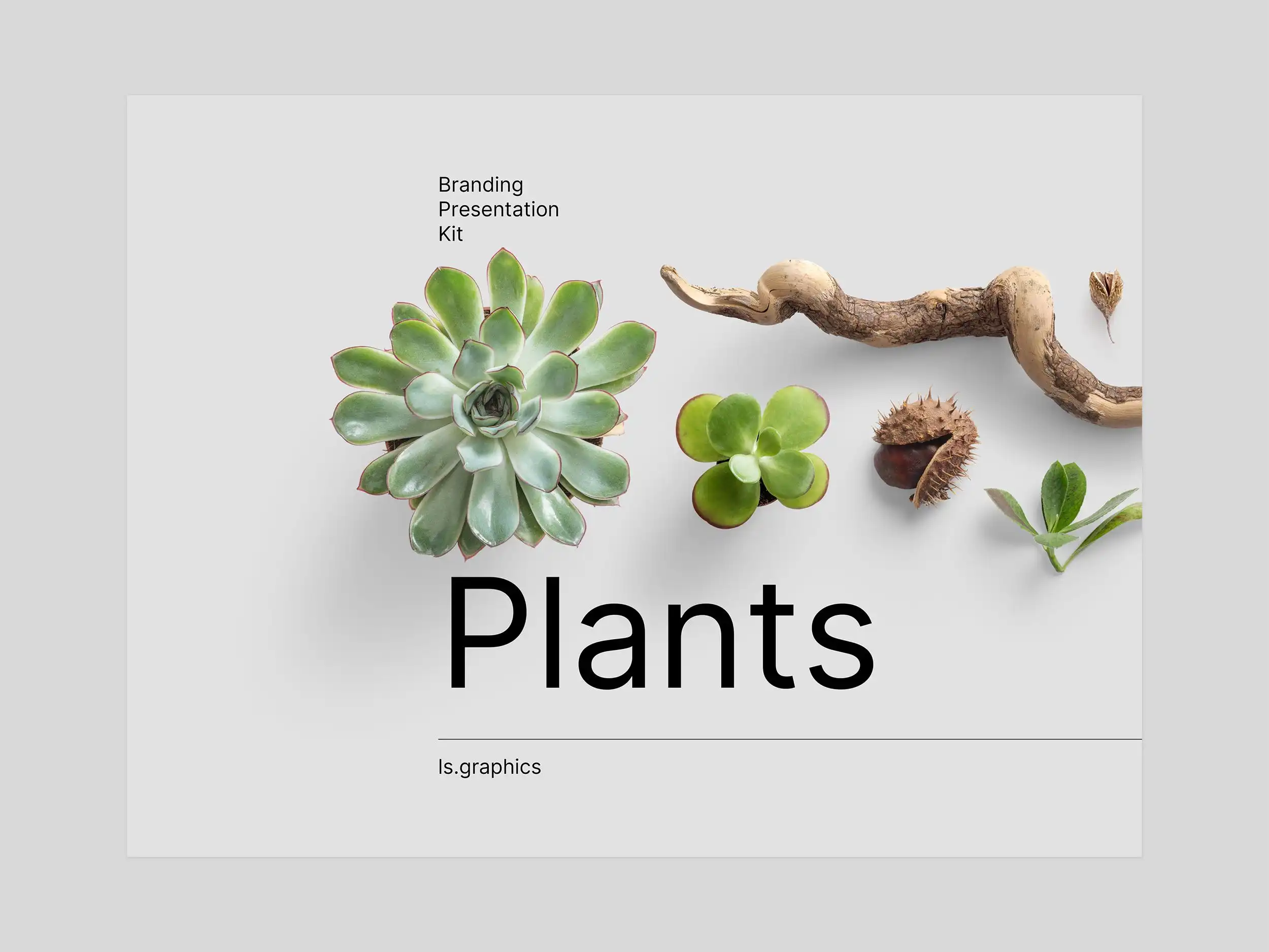 Ultimate Mockups & Design Elements Bundle by ls.graphics Free Download