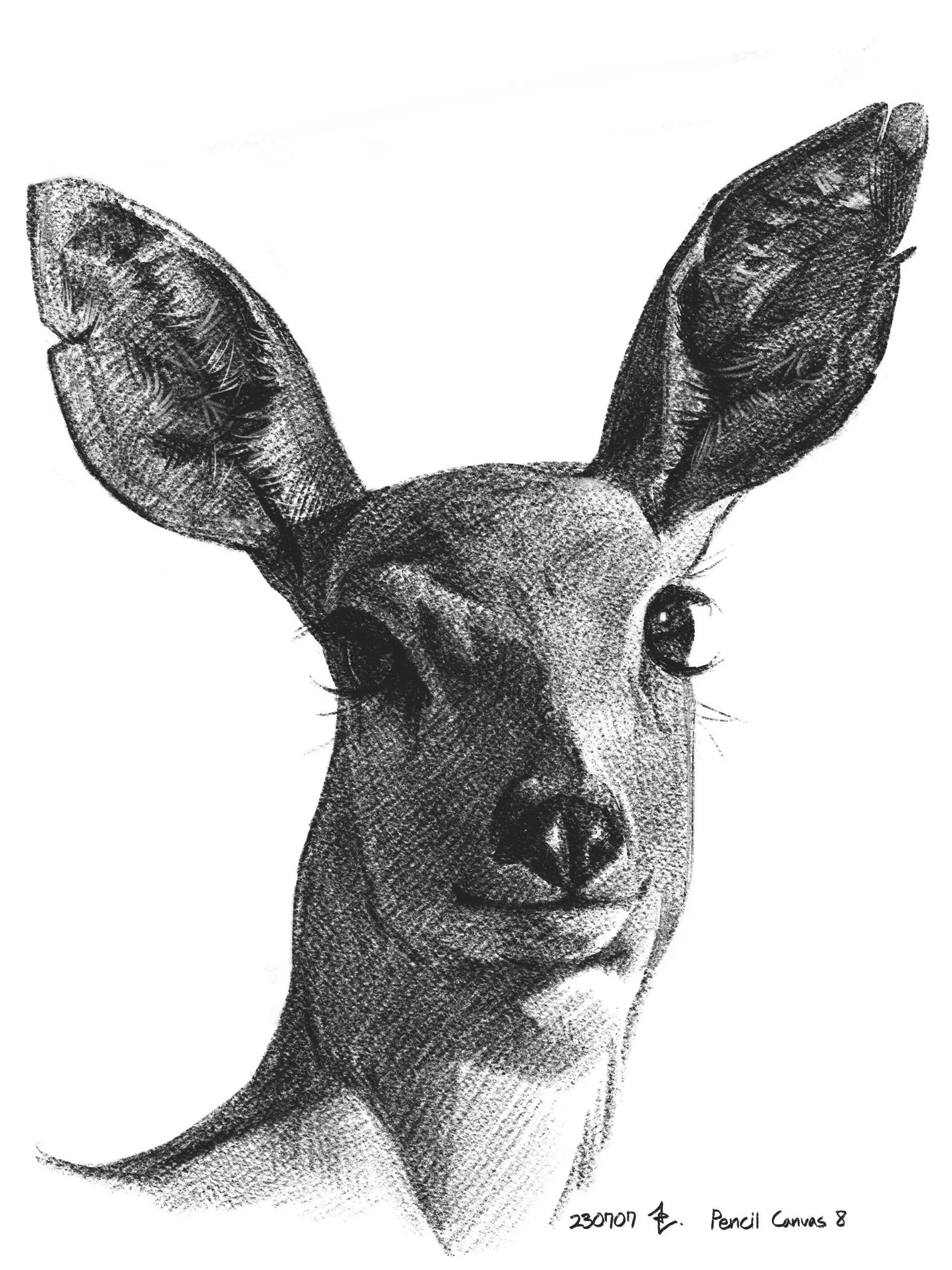 COFE's Ultimate Pencil Pack - Ver 2.0 - Procreate, Photoshop, Clip ...