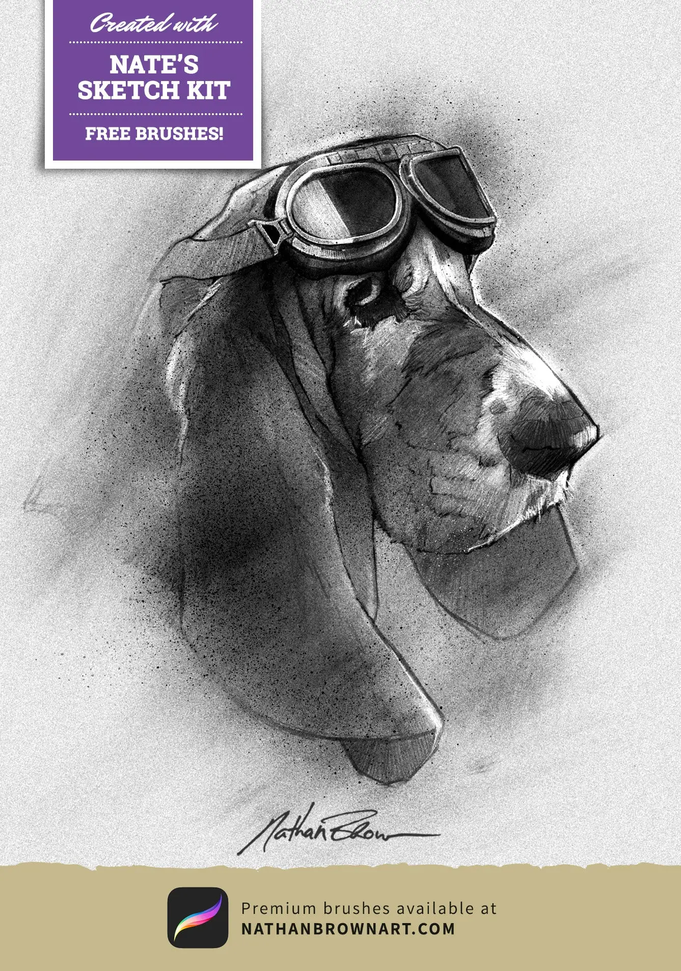 Nate's Sketch Kit - 8 Procreate Brushes Free Download