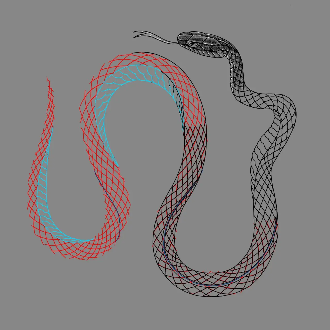 Snake scale brush for Procreate - Free Download