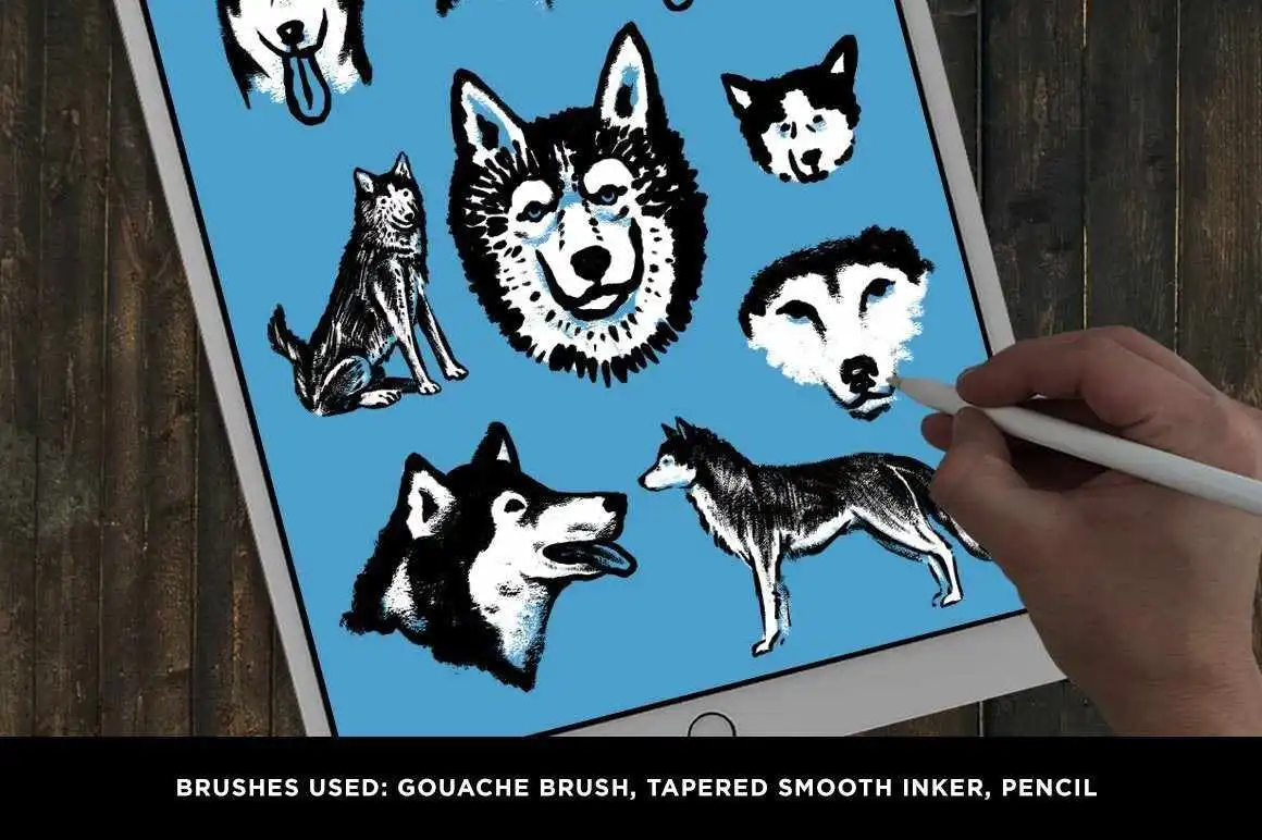 The Classic Procreate Illustration Brush Pack featuring Sam Larson Free Download