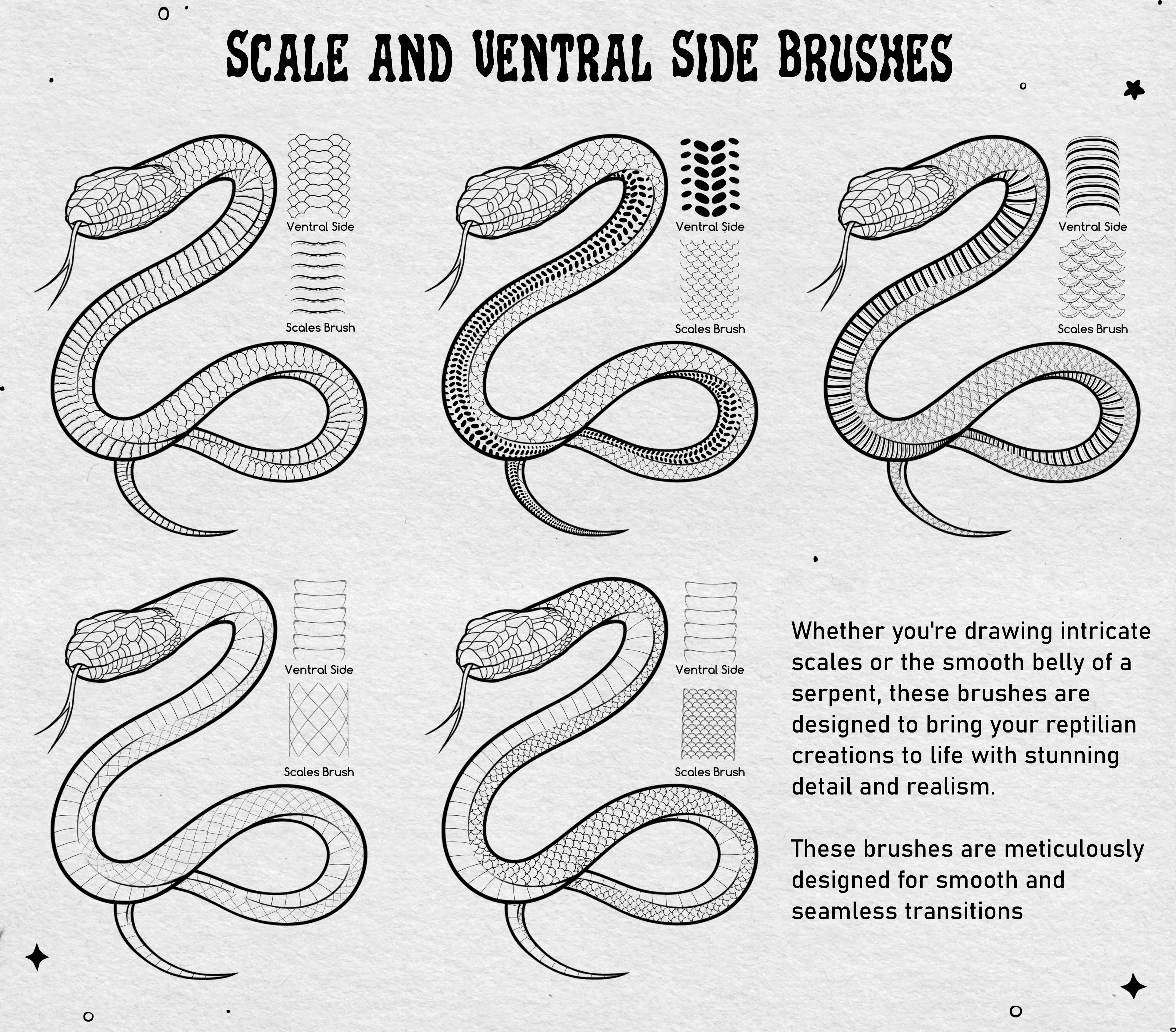 50 Snake Brushes for Procreate – Scales, Textures & Stamp Brushes