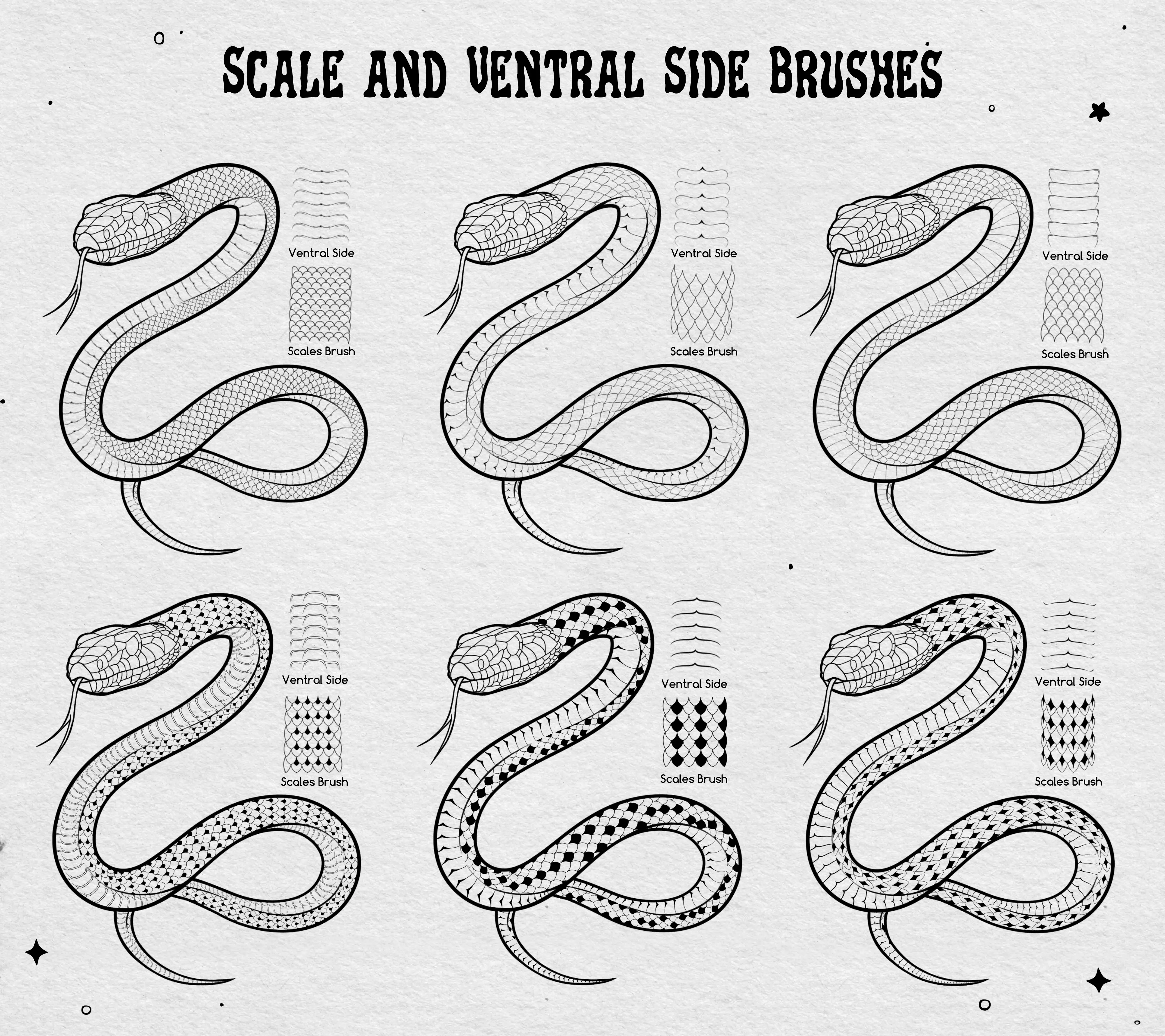 50 Snake Brushes for Procreate – Scales, Textures & Stamp Brushes